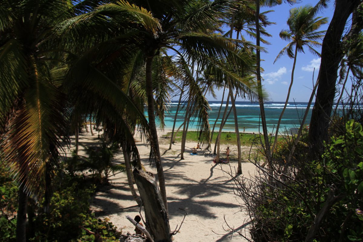 Randonnées : les plus beaux sites à découvrir - Martinique Madinina